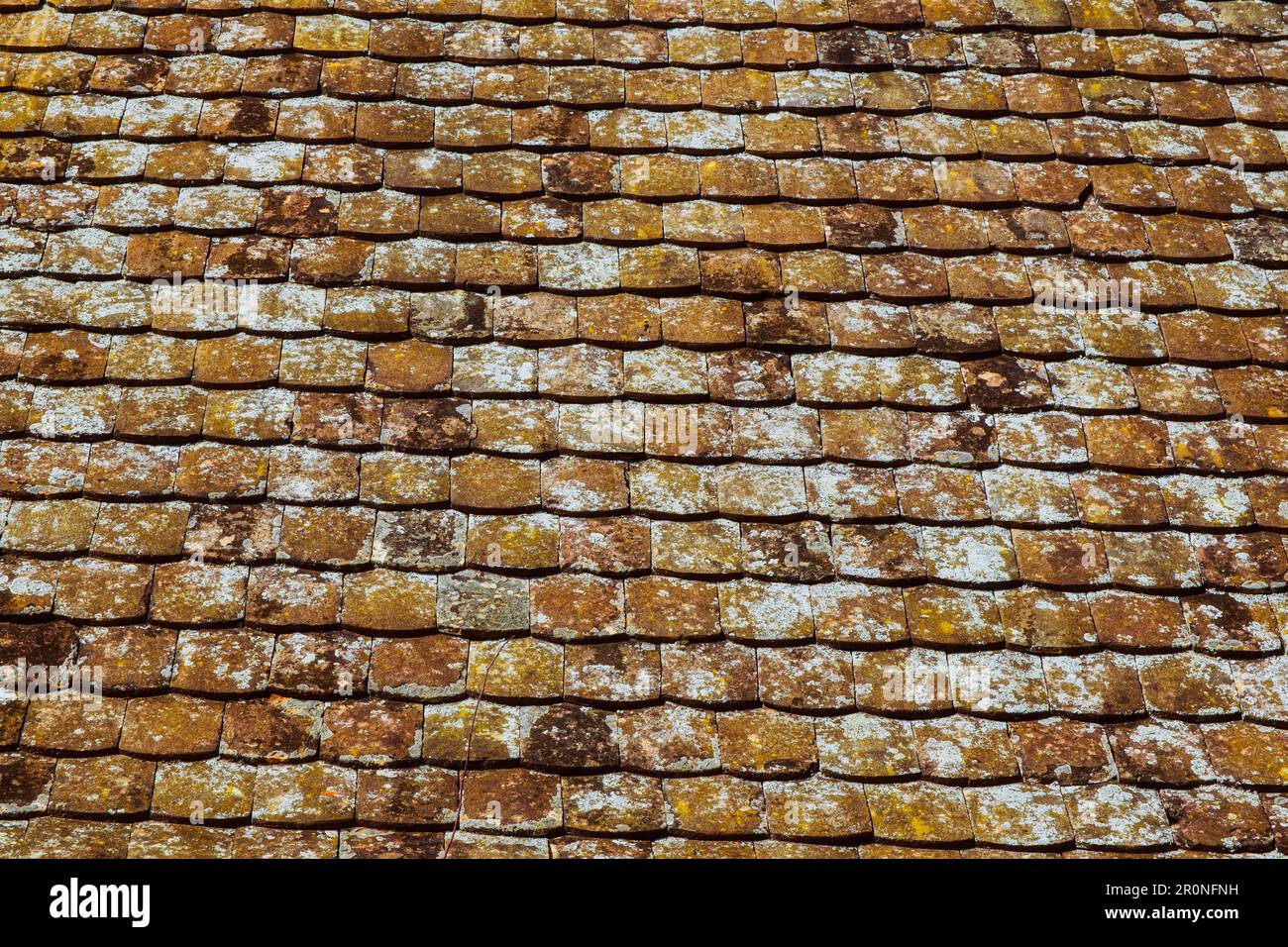 Old clay roof tiles with mold and algae on the surface Stock Photo - Alamy