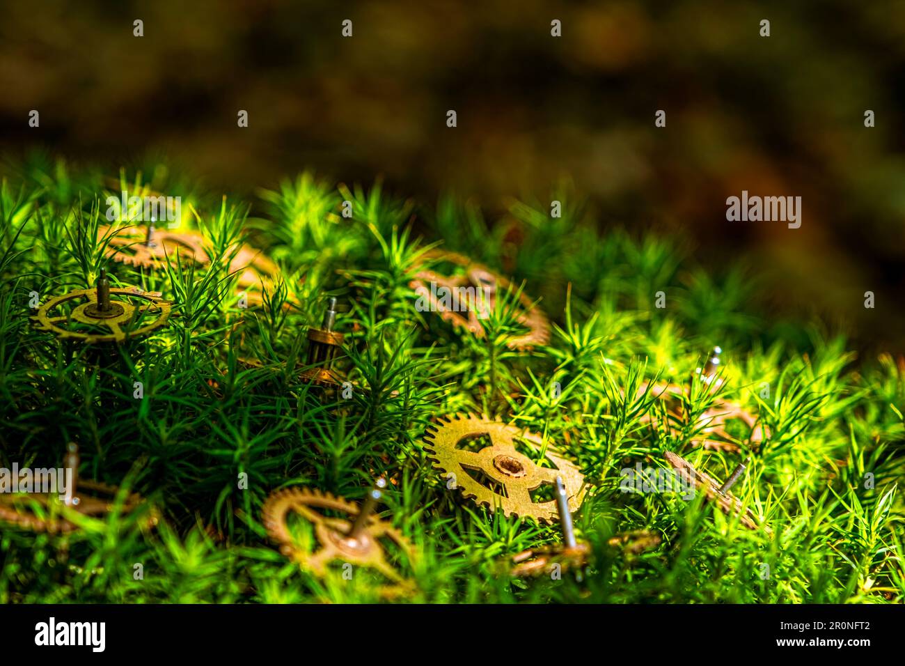 precision engineered toothed brass metal cog wheels on green moss Stock ...