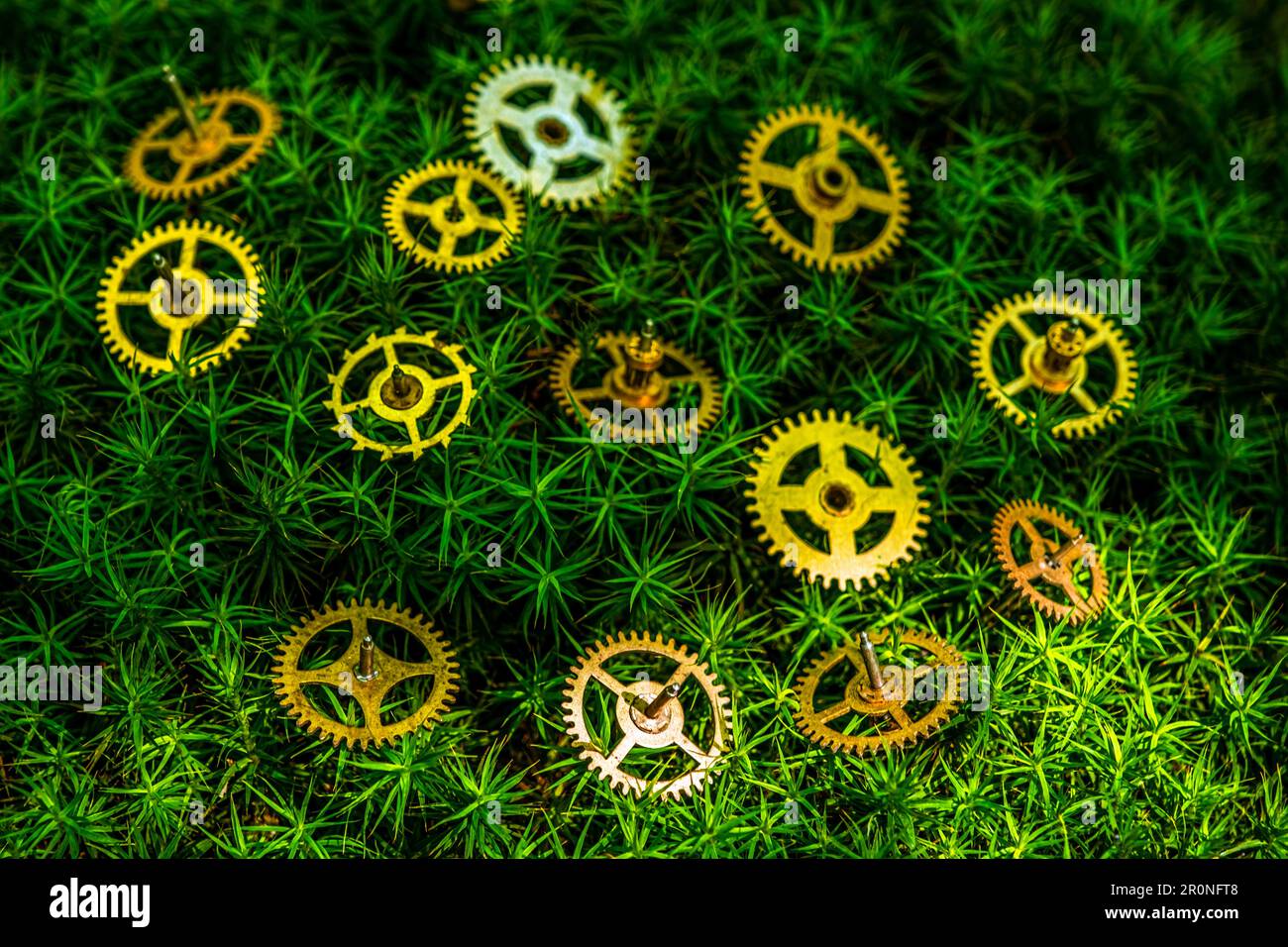 precision engineered toothed brass metal cog wheels on green moss Stock ...