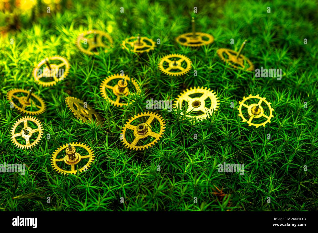 precision engineered toothed brass metal cog wheels on green moss Stock ...