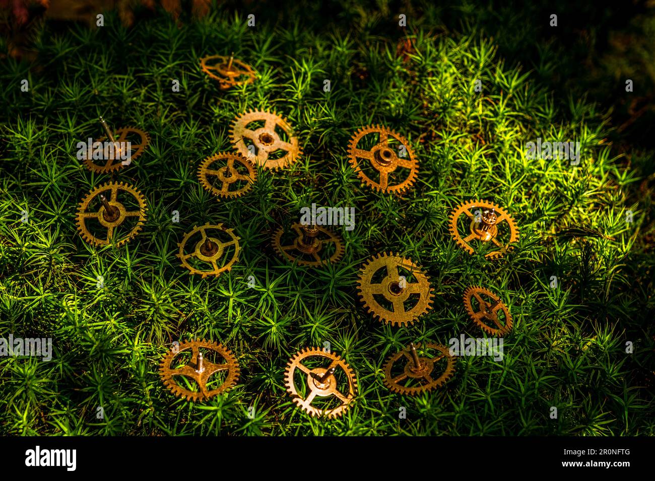 precision engineered toothed brass metal cog wheels on green moss Stock ...