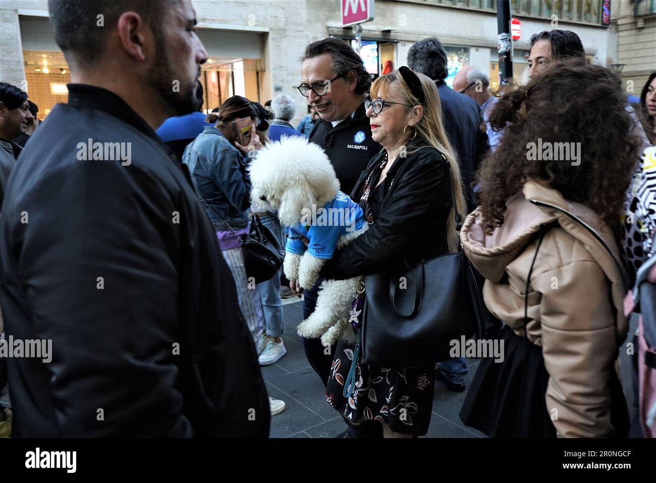 A little dog with a Napoli shirt. Naples Champions of Italy. NAPLES ...