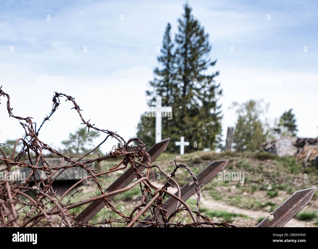 View of the former battlefield at LINGEKOPF from World War I, Museum of ...