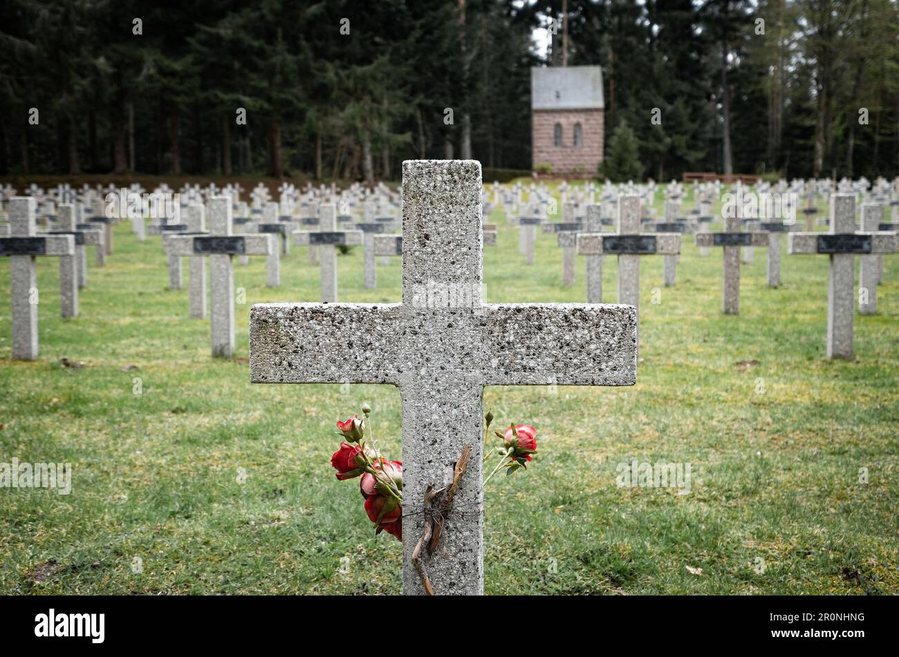 Red roses on a tombstone in the soldiers' cemetery at Wettstein, Orbey ...