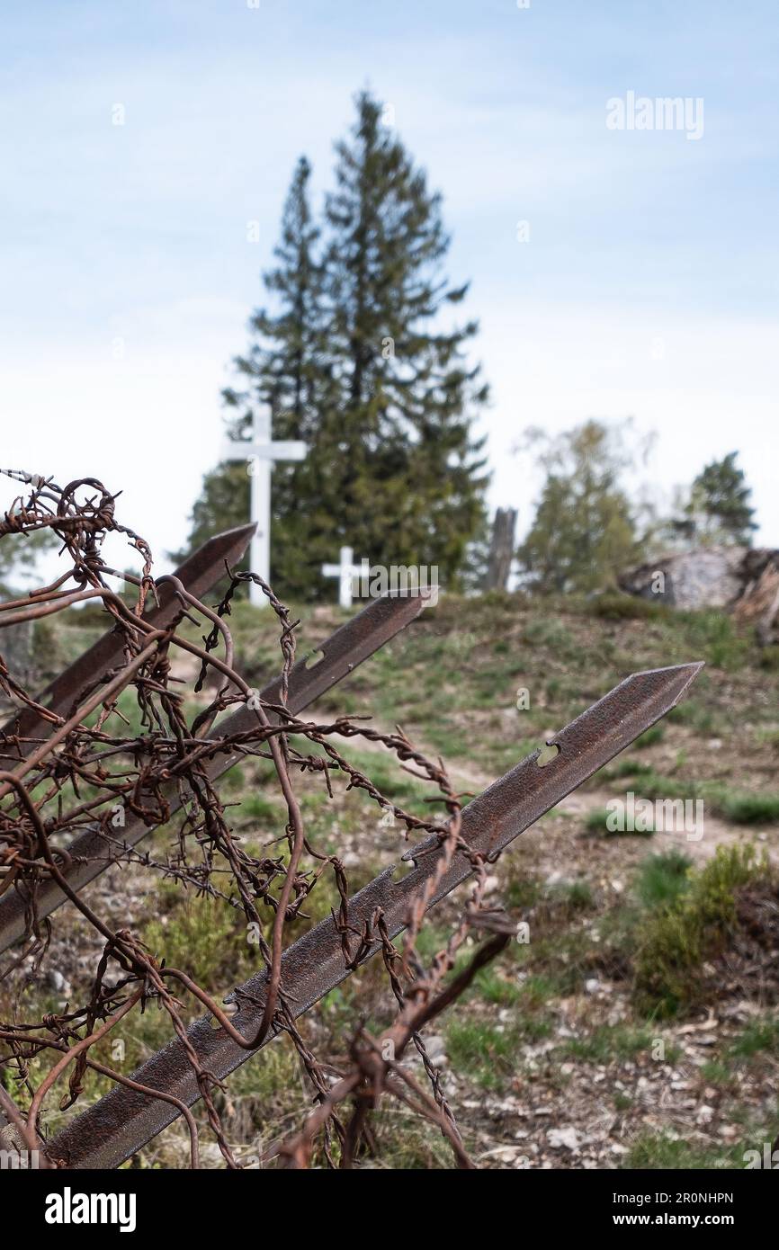 View of the former battlefield at LINGEKOPF from World War I, Museum of ...