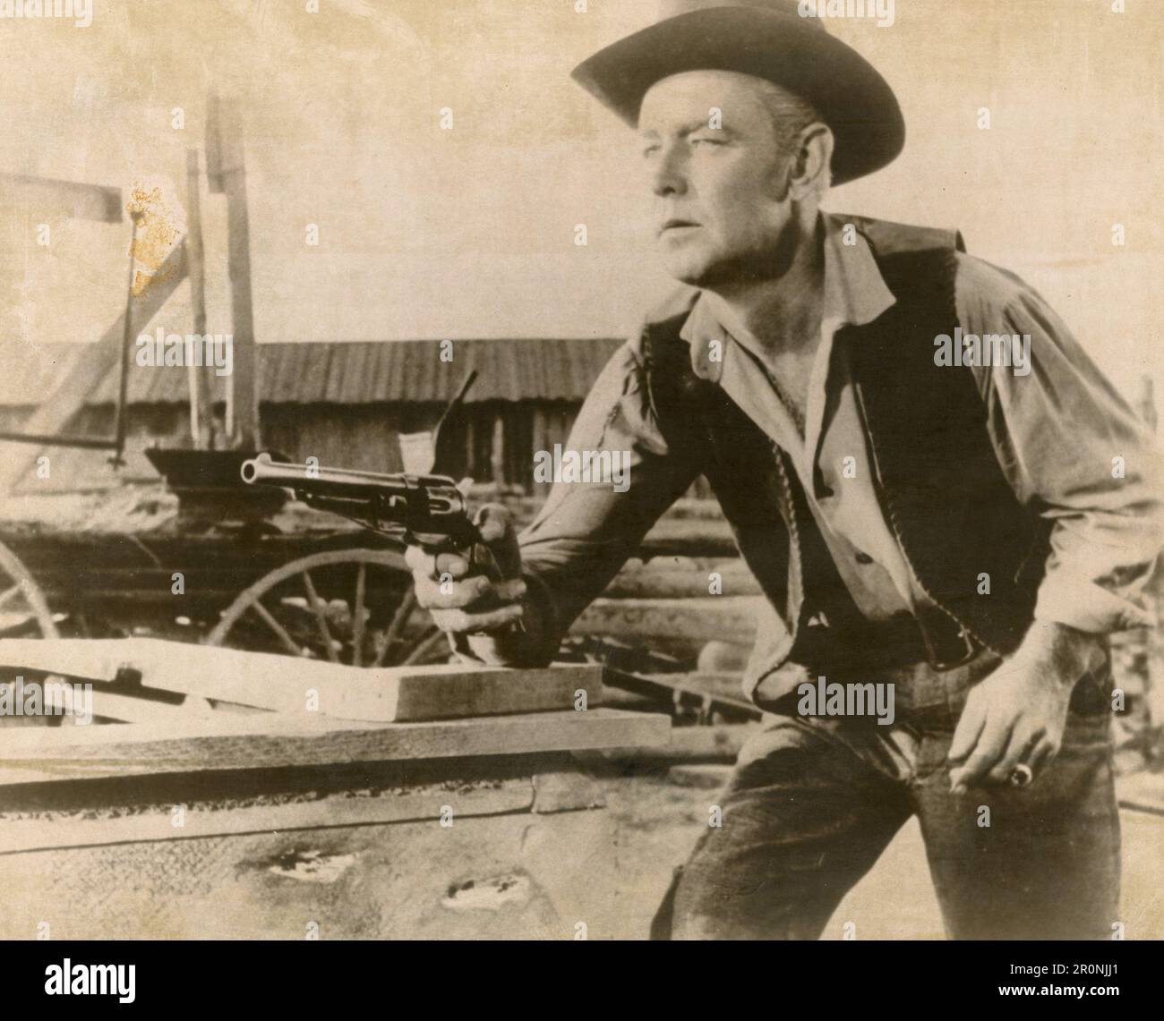 American actor Alan Ladd in the movie The Proud Rebel, USA 1958 Stock ...