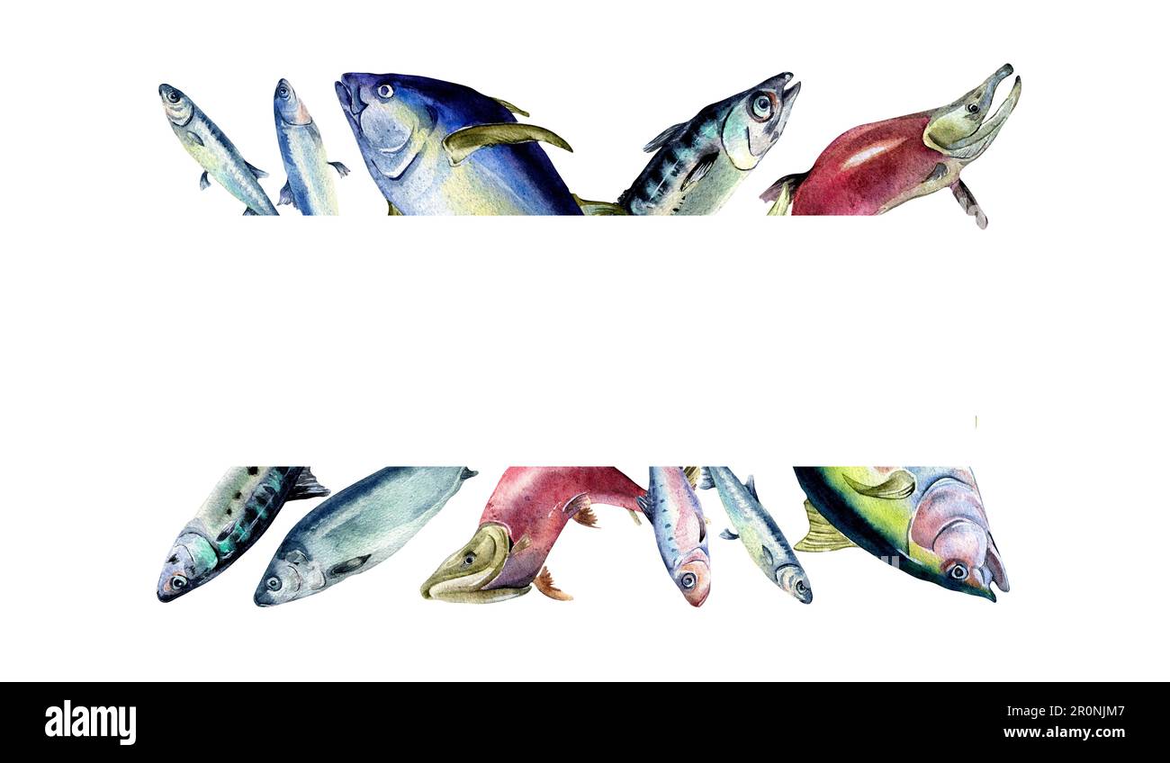 Frame of various fresh sea fish watercolor illustration isolated on ...