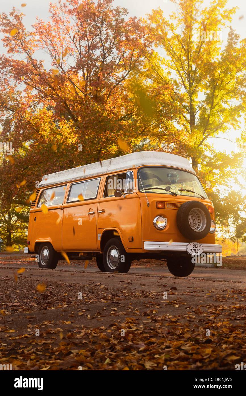 A vibrant orange camper van is parked in an autumnal setting ...