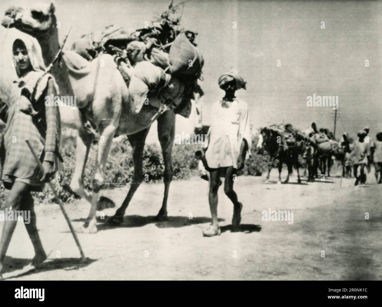 Refugees fleeing passing by in Chamb Sector, Kashmir 1965 Stock Photo ...