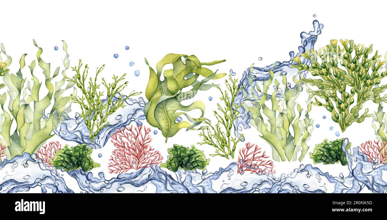 Seamless board of green sea plants watercolor illustration isolated on ...