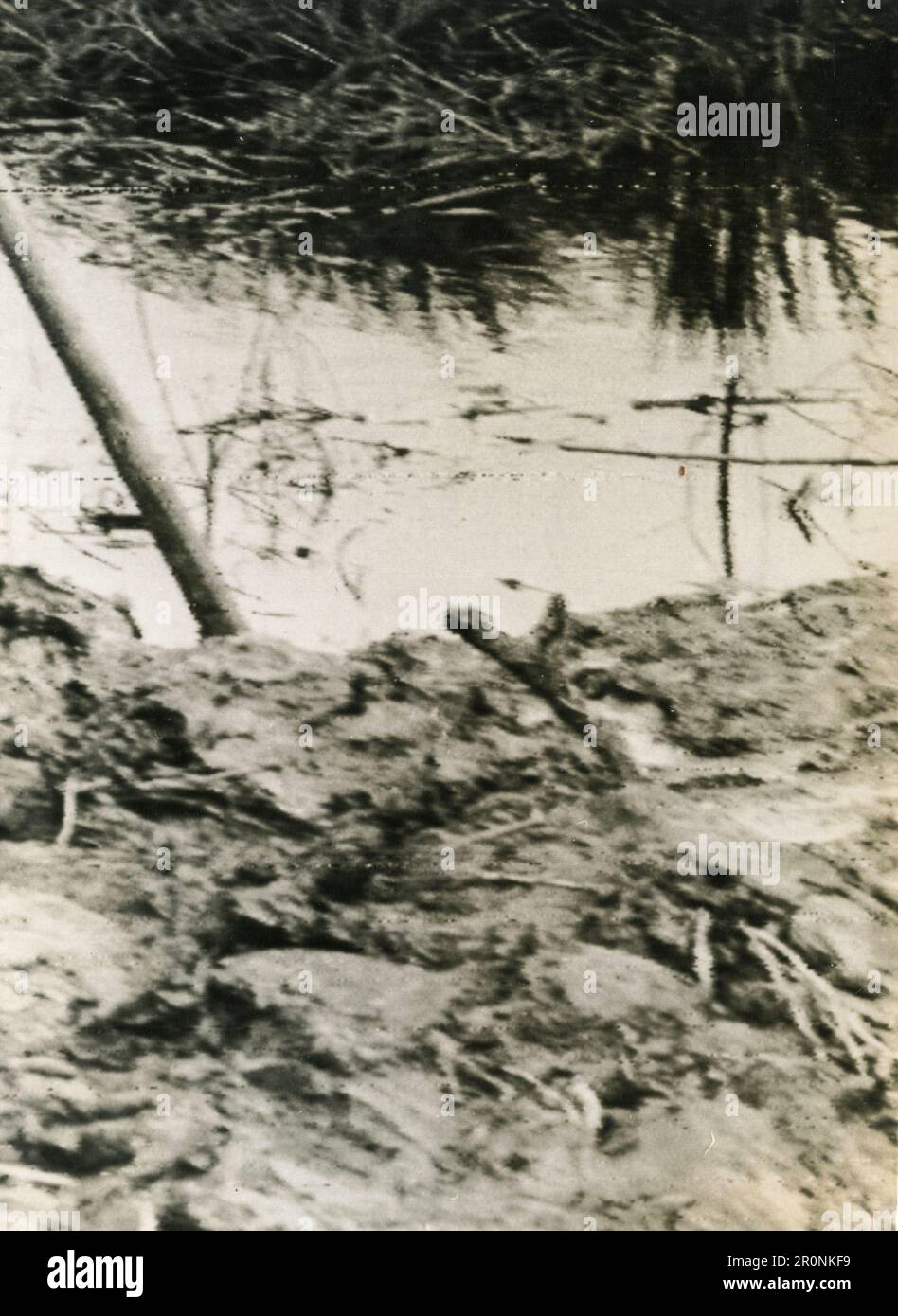 Mudd hi-res stock photography and images - Alamy