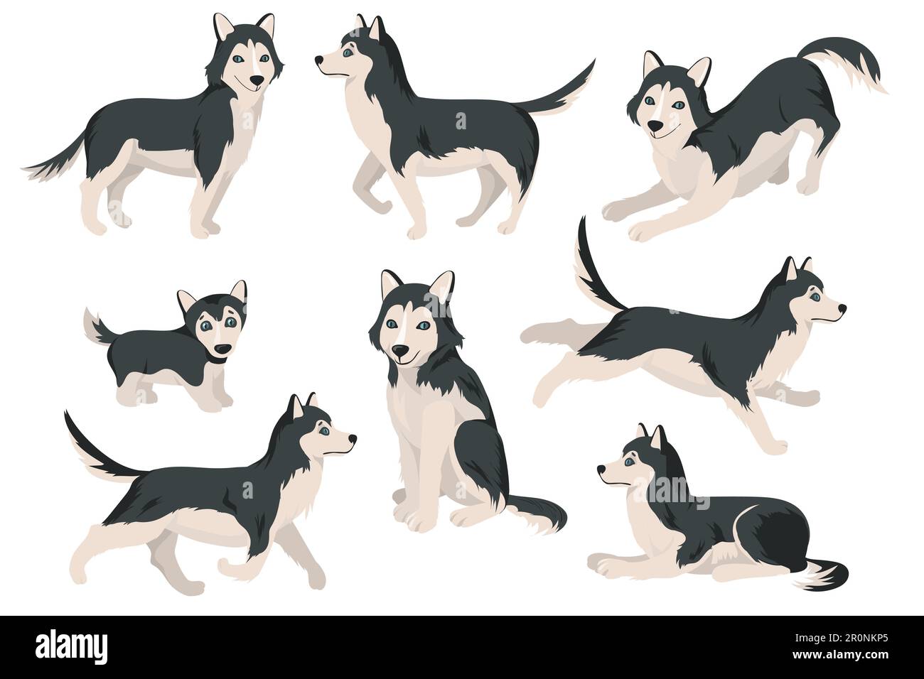 Cute husky dog in different poses flat set for web design Stock Vector ...