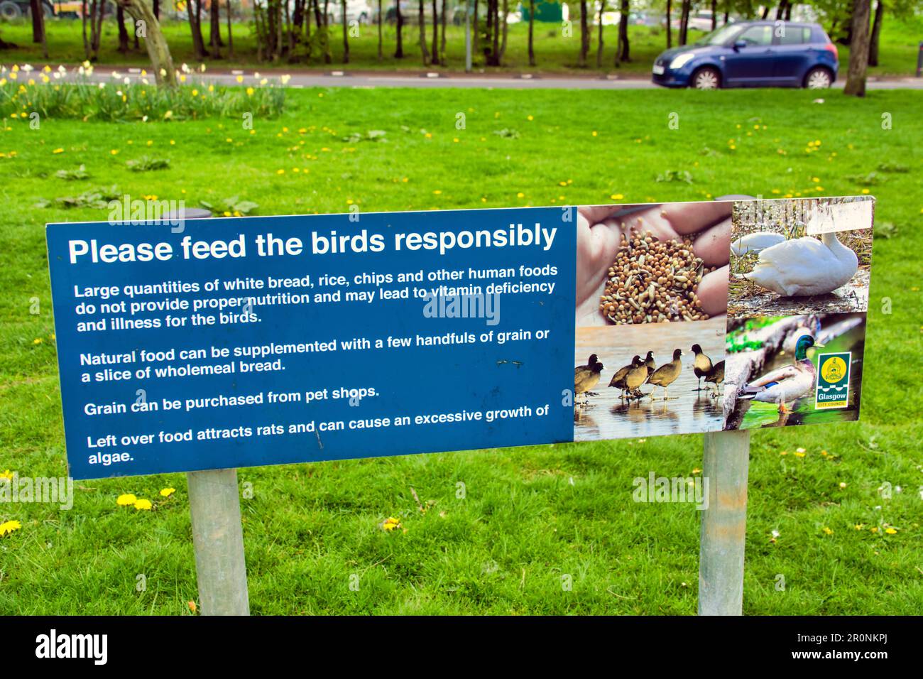 please feed the birds responsibly park warning sign Stock Photo - Alamy