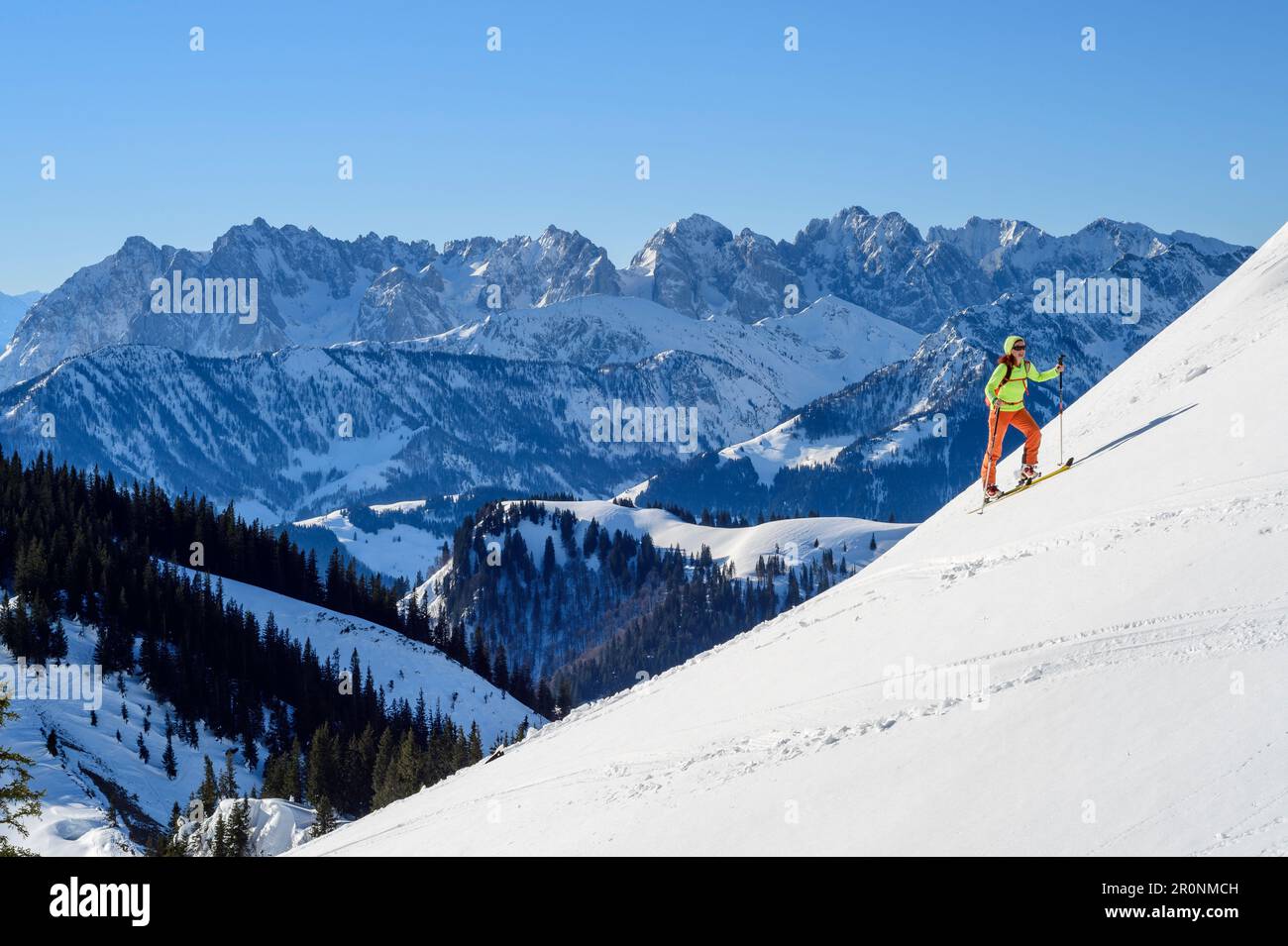 Woman on ski tour climbs to Geigelstein, Kaiser Mountains in the ...