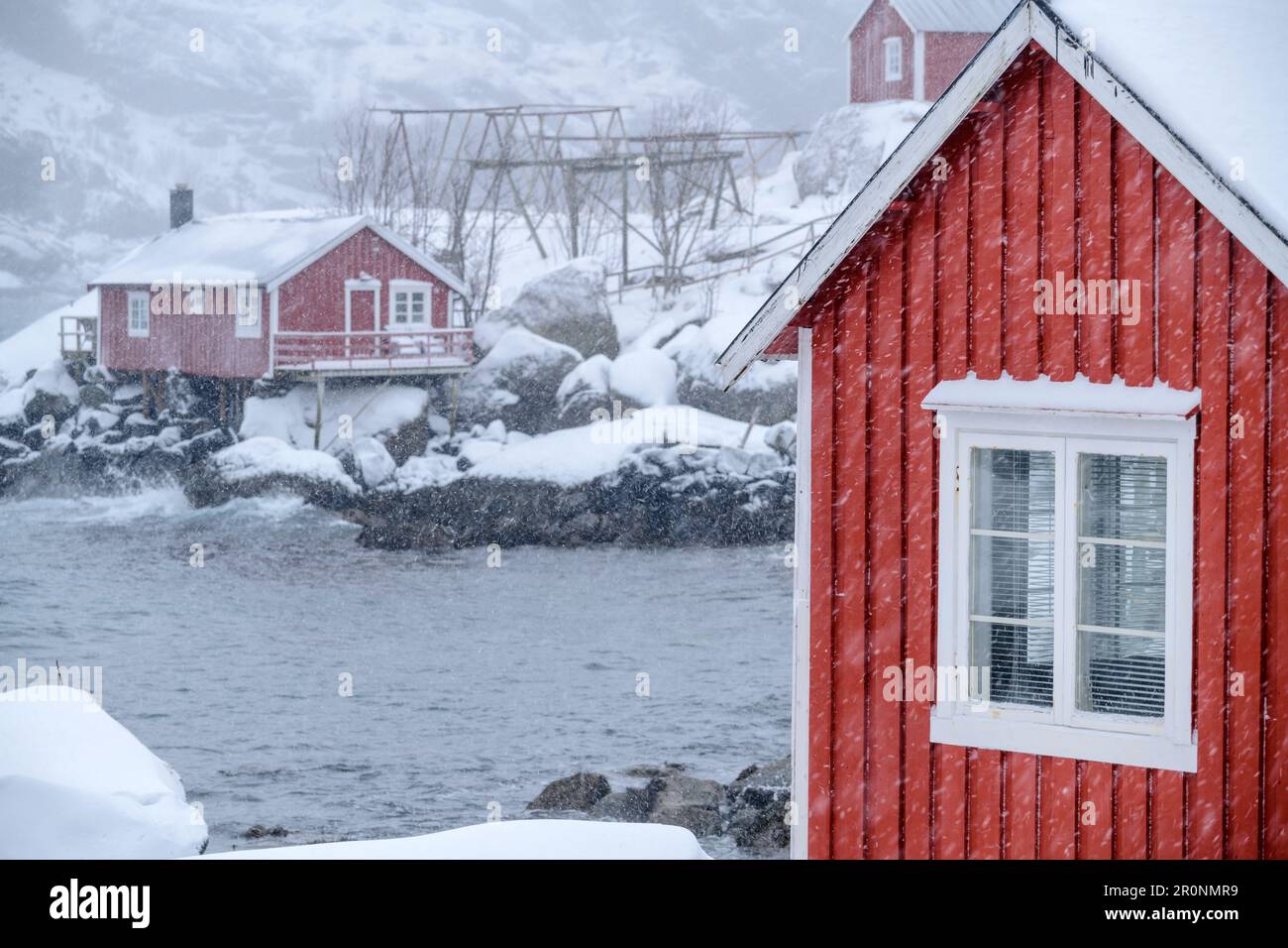 Norwegian red fisherman's houses in snowstorm, Nusfjord, Lofoten ...