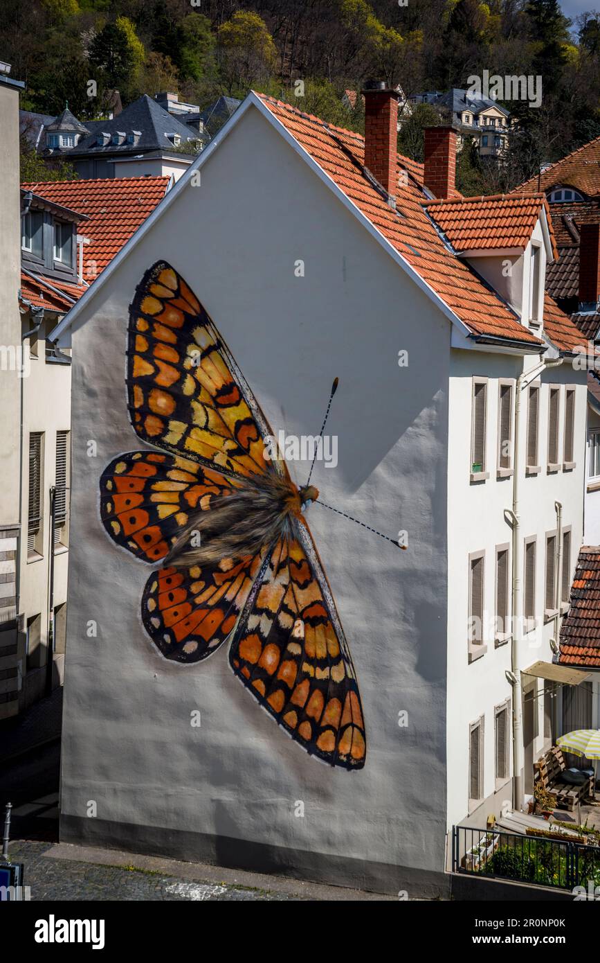 Wall painting of a huge butterfly on the side of a building, Heidelberg ...