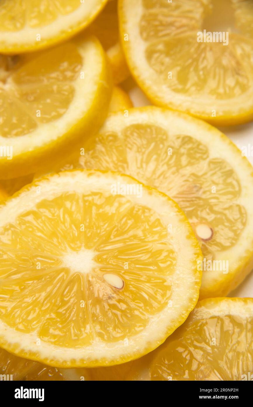 vertical overlapping lemon slices footer on white background with copy ...