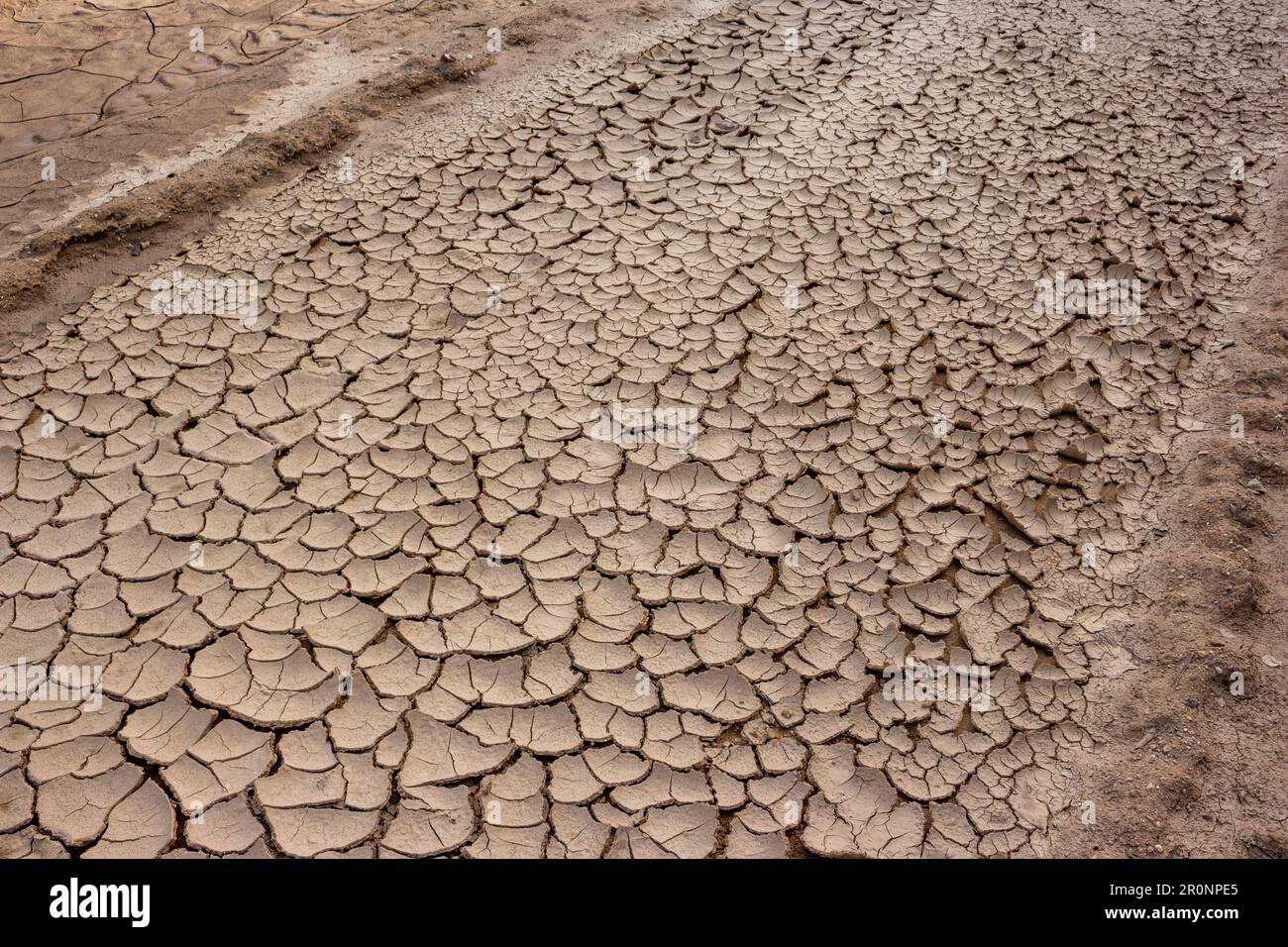 Road surface with dried and cracked clay Stock Photo - Alamy