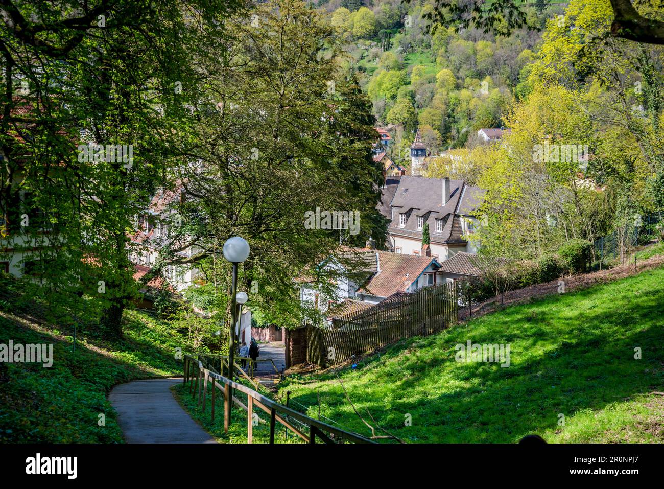Heidelberg Castle Garden, Terraced gardens around palace ruins ...