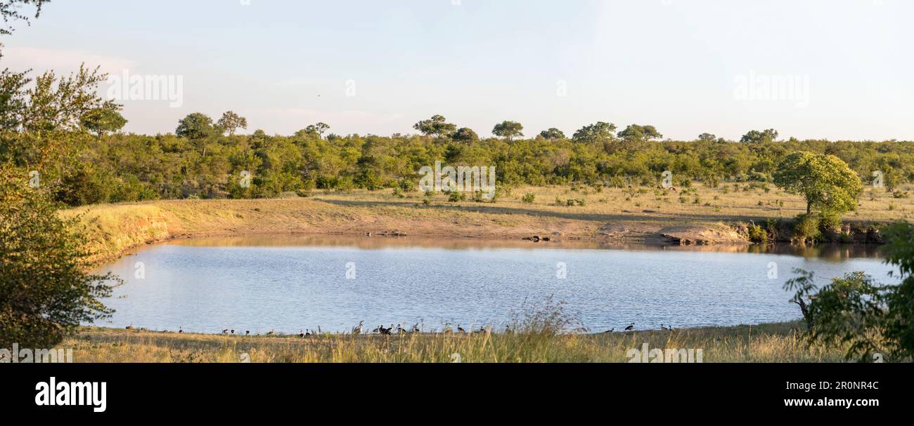 landscape with lake in shrubland at green wild countryside, shot in ...