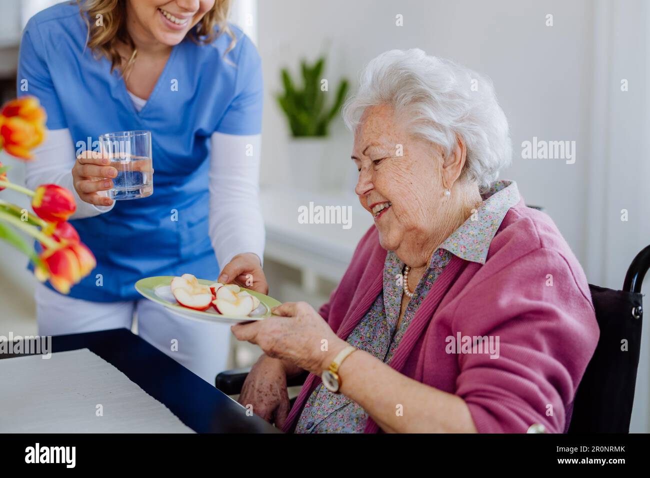 Nurse giving fruit snack to senior woman Stock Photo - Alamy