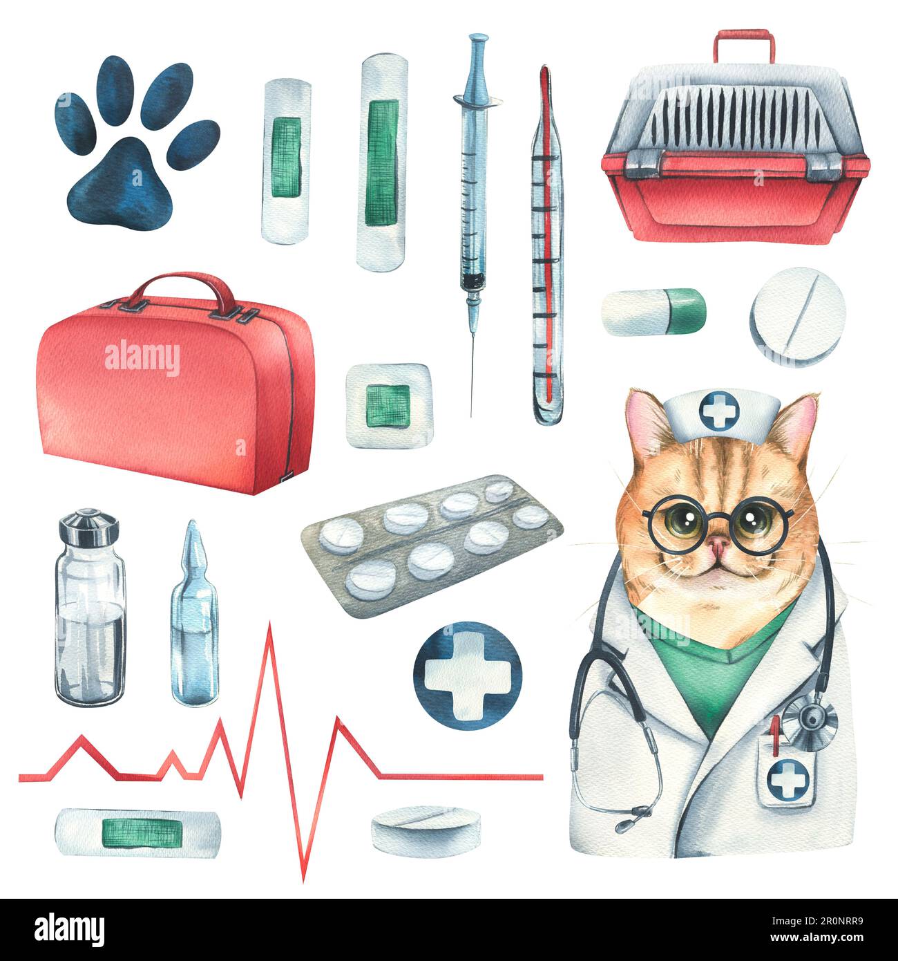Veterinary set with doctor cat, pet carrier, medicines. Watercolor ...