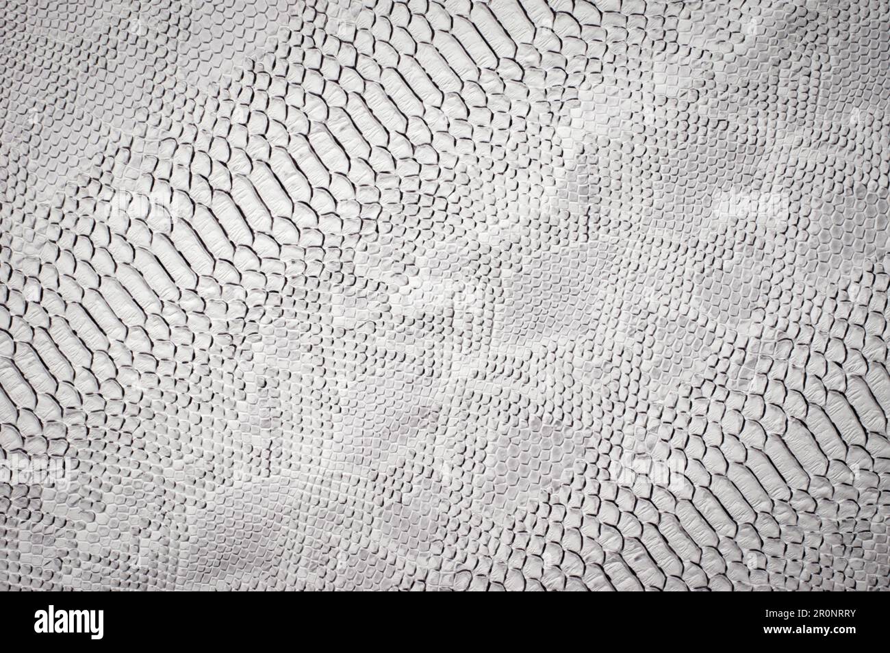 Vegan faux Snakeskin leather texture. minimalist and elegant textile ...