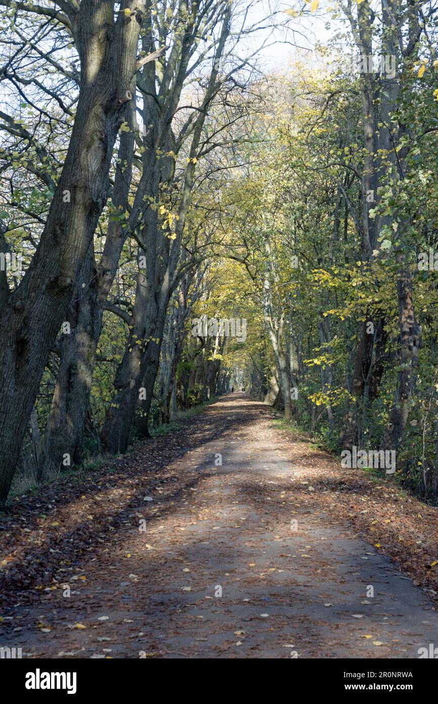 Lancaster Canal Tramroad now a footpath running from Bamber Bridge ...