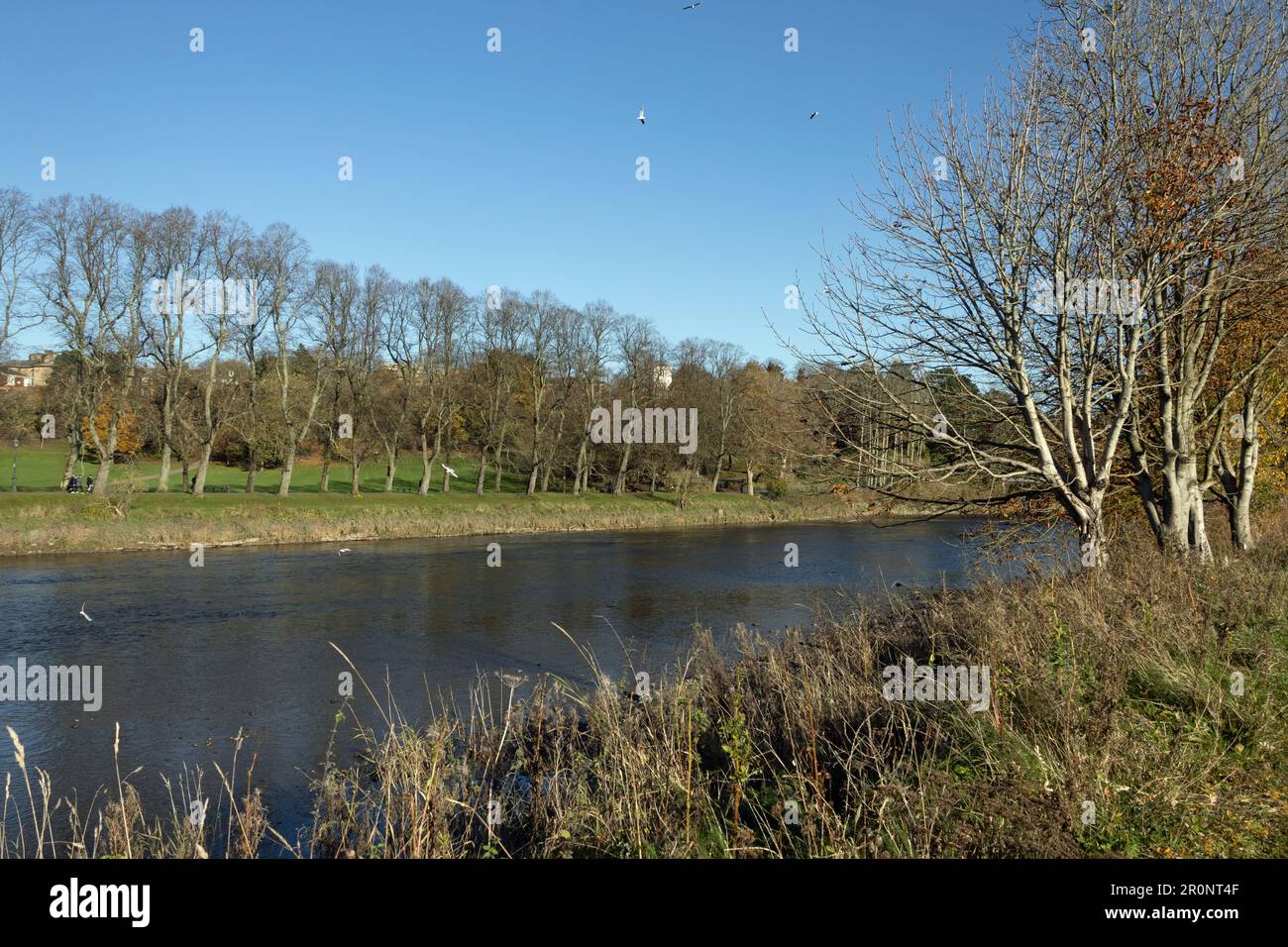 The River Ribble flowing through Preston Lancashire England Stock Photo ...