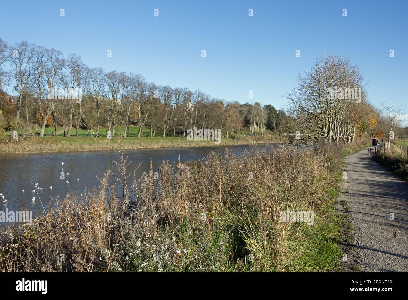 The River Ribble flowing through Preston Lancashire England Stock Photo ...