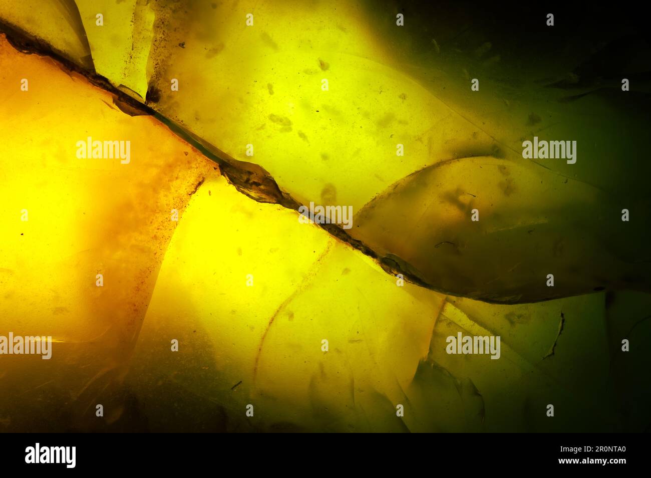 Opal (opalized petrified wood (fossilized opal)) yellow orange green ...