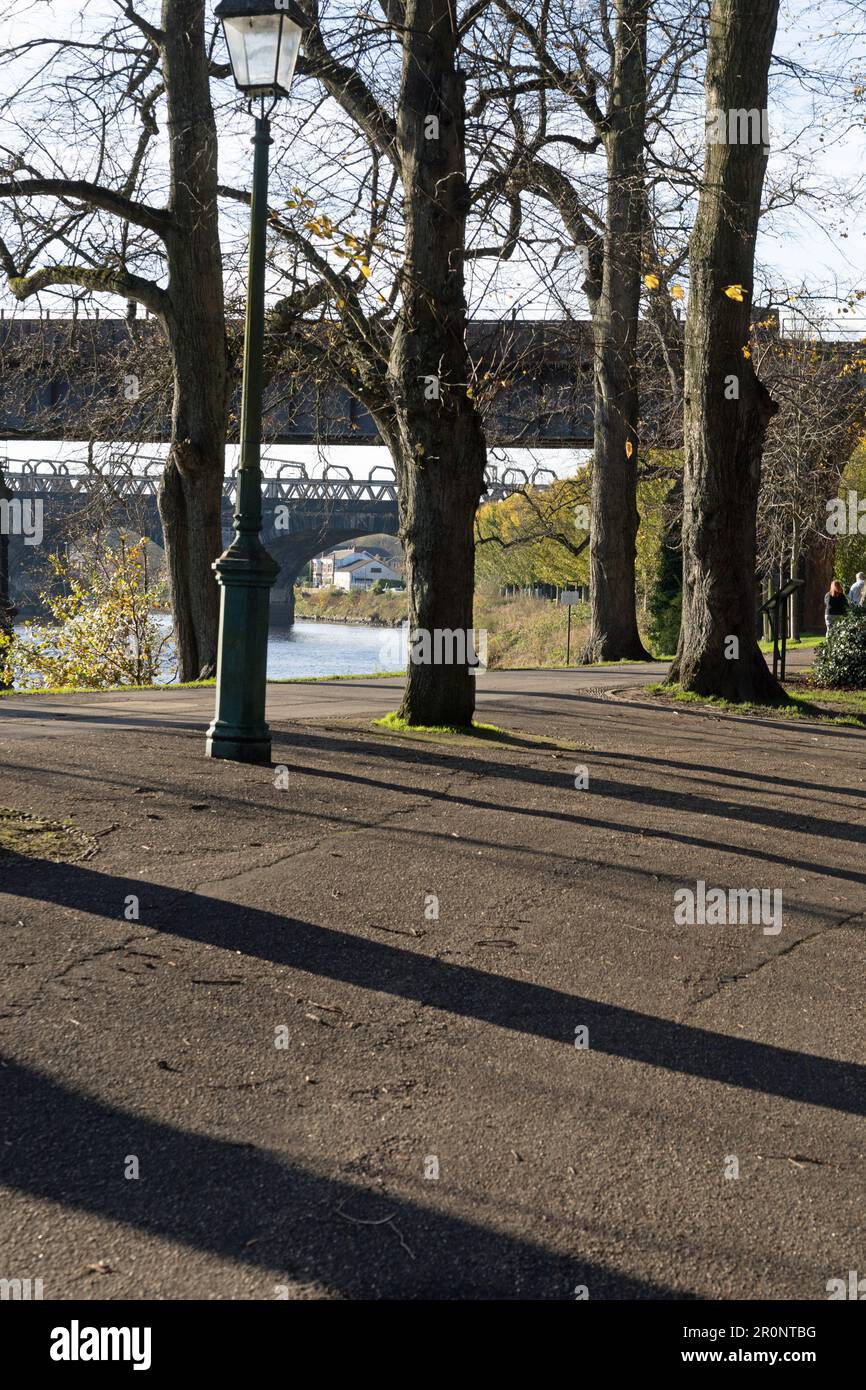 Trees and railway viaducts and the River Ribble at Miller Park Preston ...