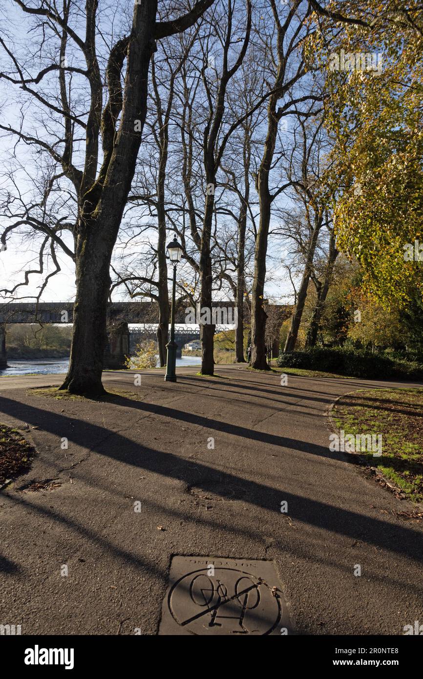 Trees and railway viaducts and the River Ribble at Miller Park Preston ...