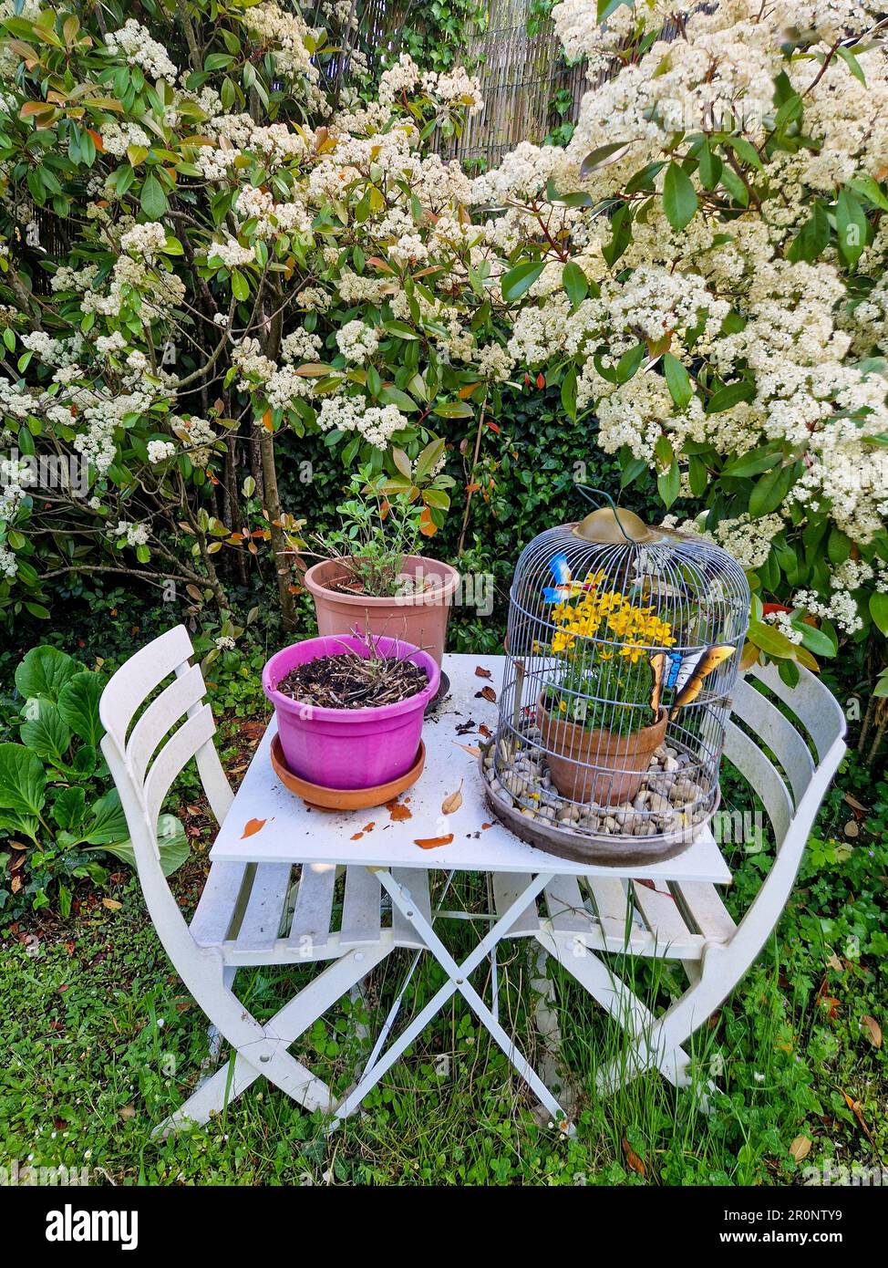 Pleasure garden, Bessèges, Gard, France Stock Photo - Alamy