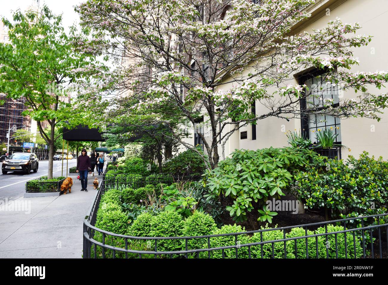 5th avenue from Washington Square, Manhattan, New York, springtime ...