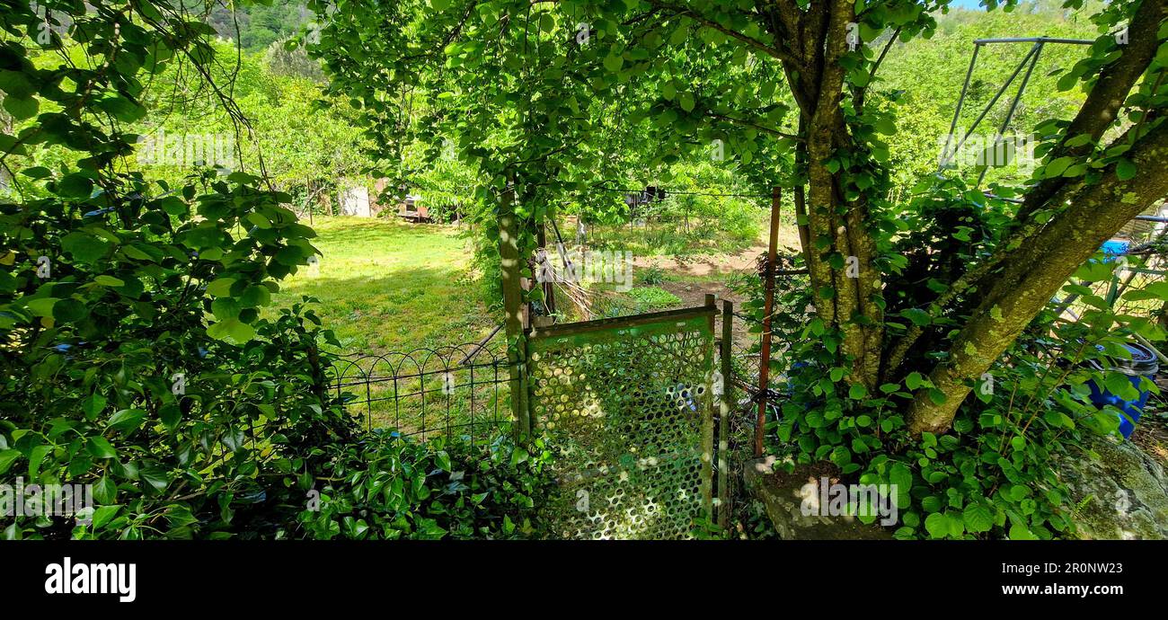 Vegetable garden, Bessèges, Gard, France Stock Photo - Alamy