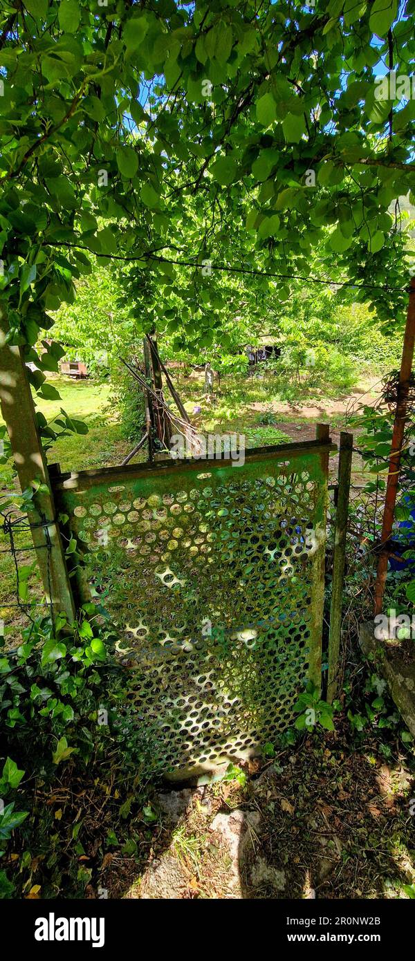 Vegetable garden, Bessèges, Gard, France Stock Photo - Alamy