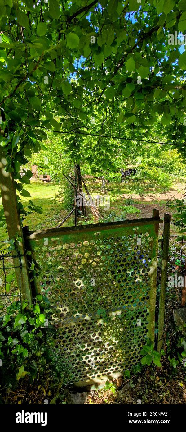 Vegetable garden, Bessèges, Gard, France Stock Photo - Alamy