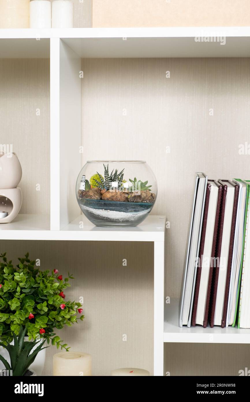 Florarium in interior. Succulent flowers in a glass vase on a shelf ...