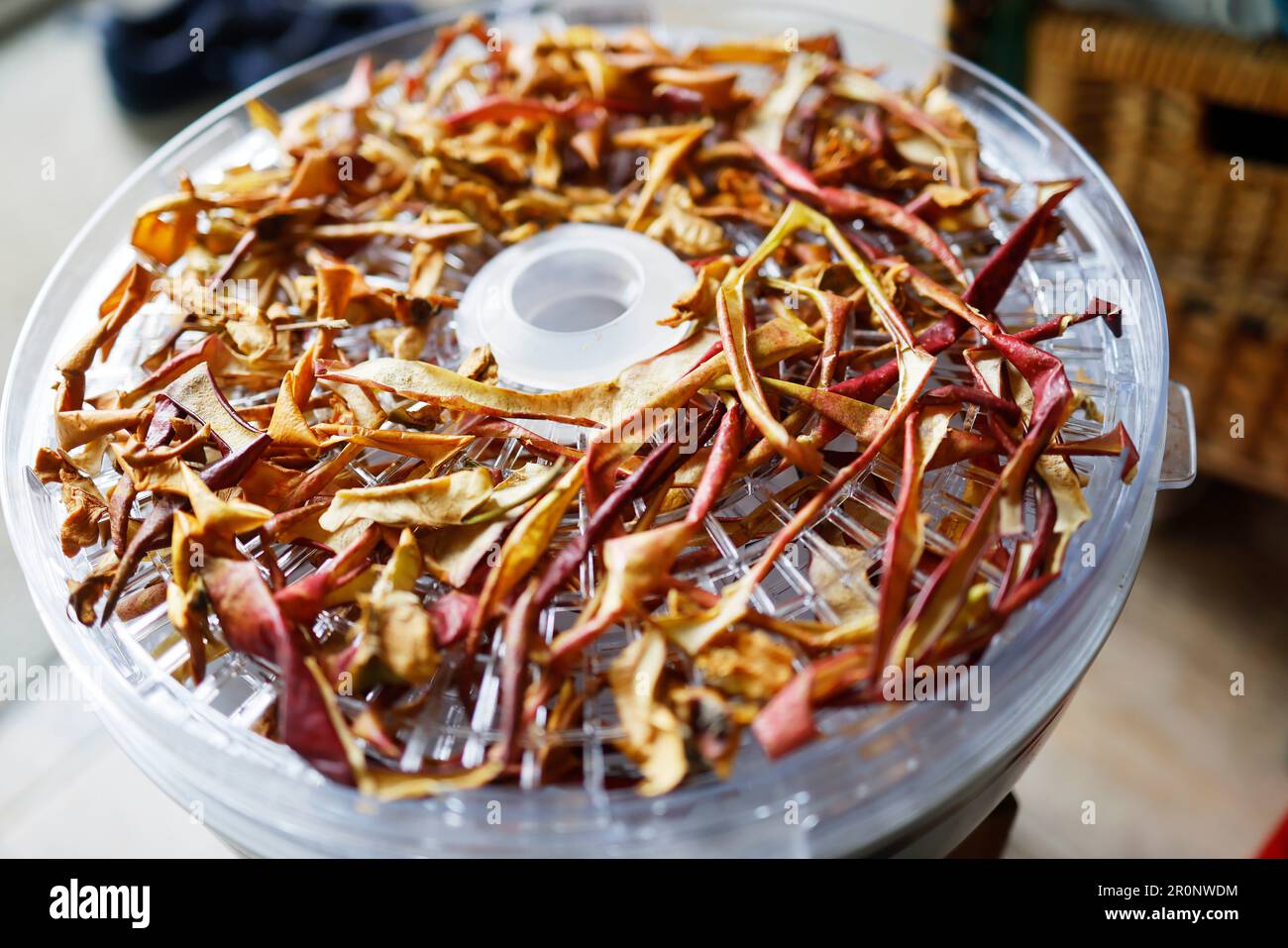 Drying Slices and Pieces of an Apple using a Dehydrator Stock Photo - Alamy