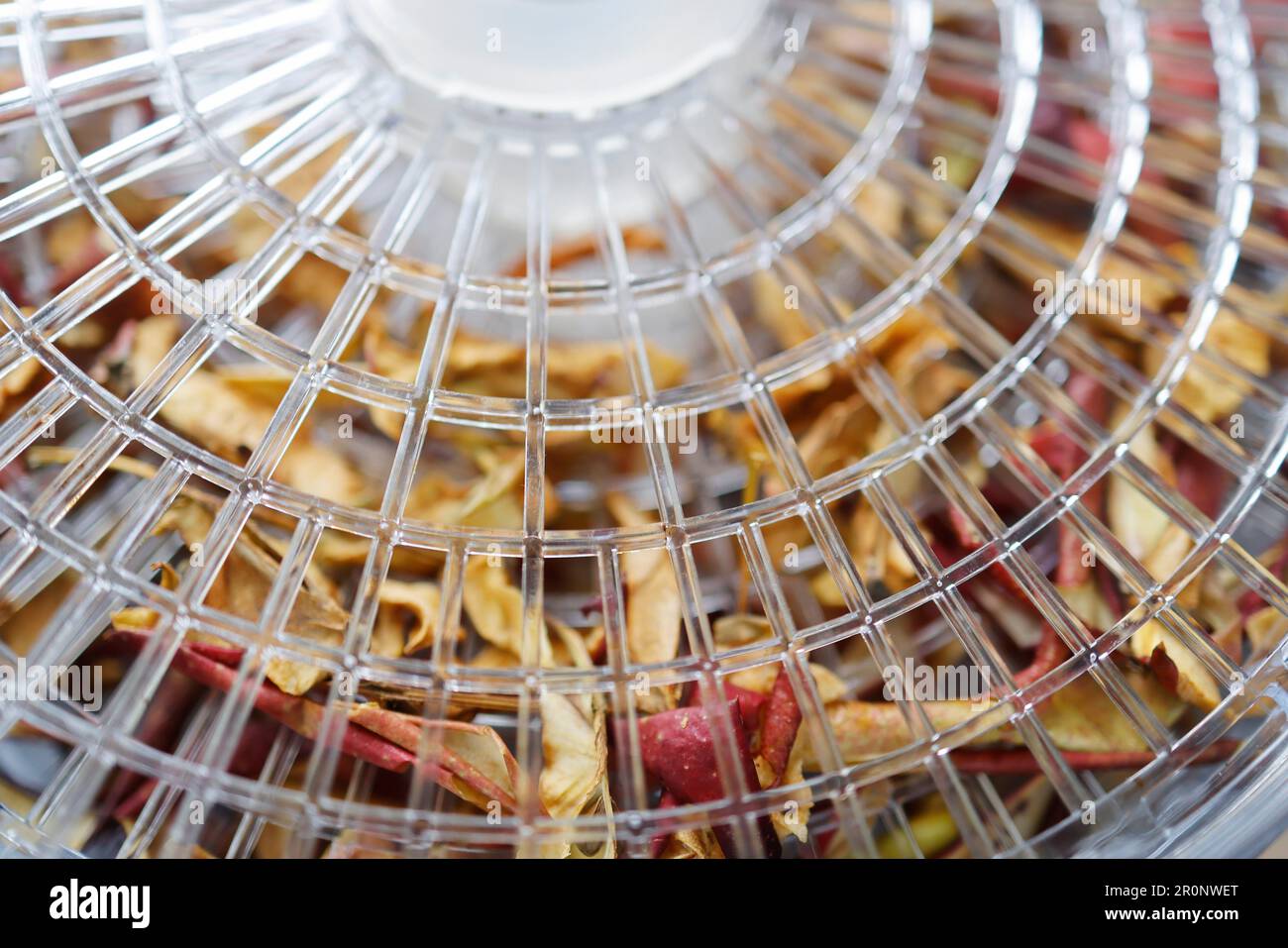 Drying Slices and Pieces of an Apple using a Dehydrator Stock Photo - Alamy