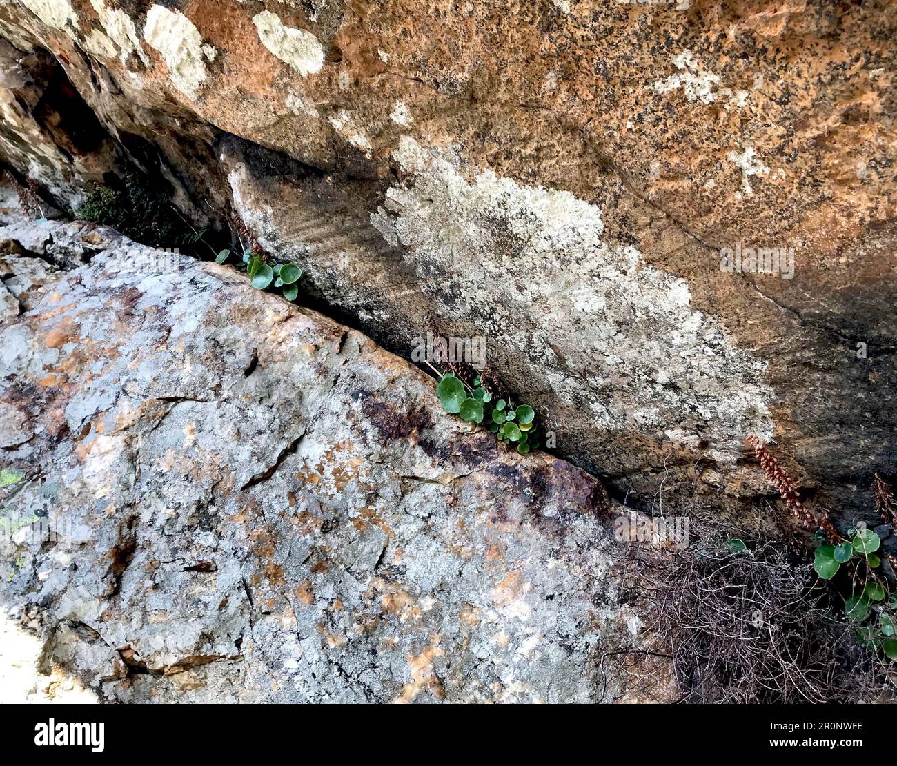 Linear furrows made by fault movement hi-res stock photography and ...