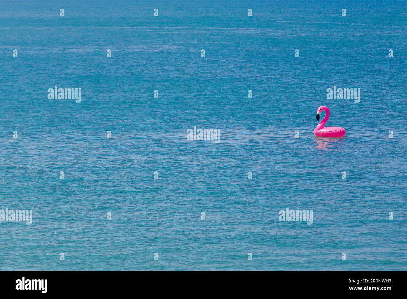 Inflatable pink flamingo float on the water. Calm vacation at sea Stock ...