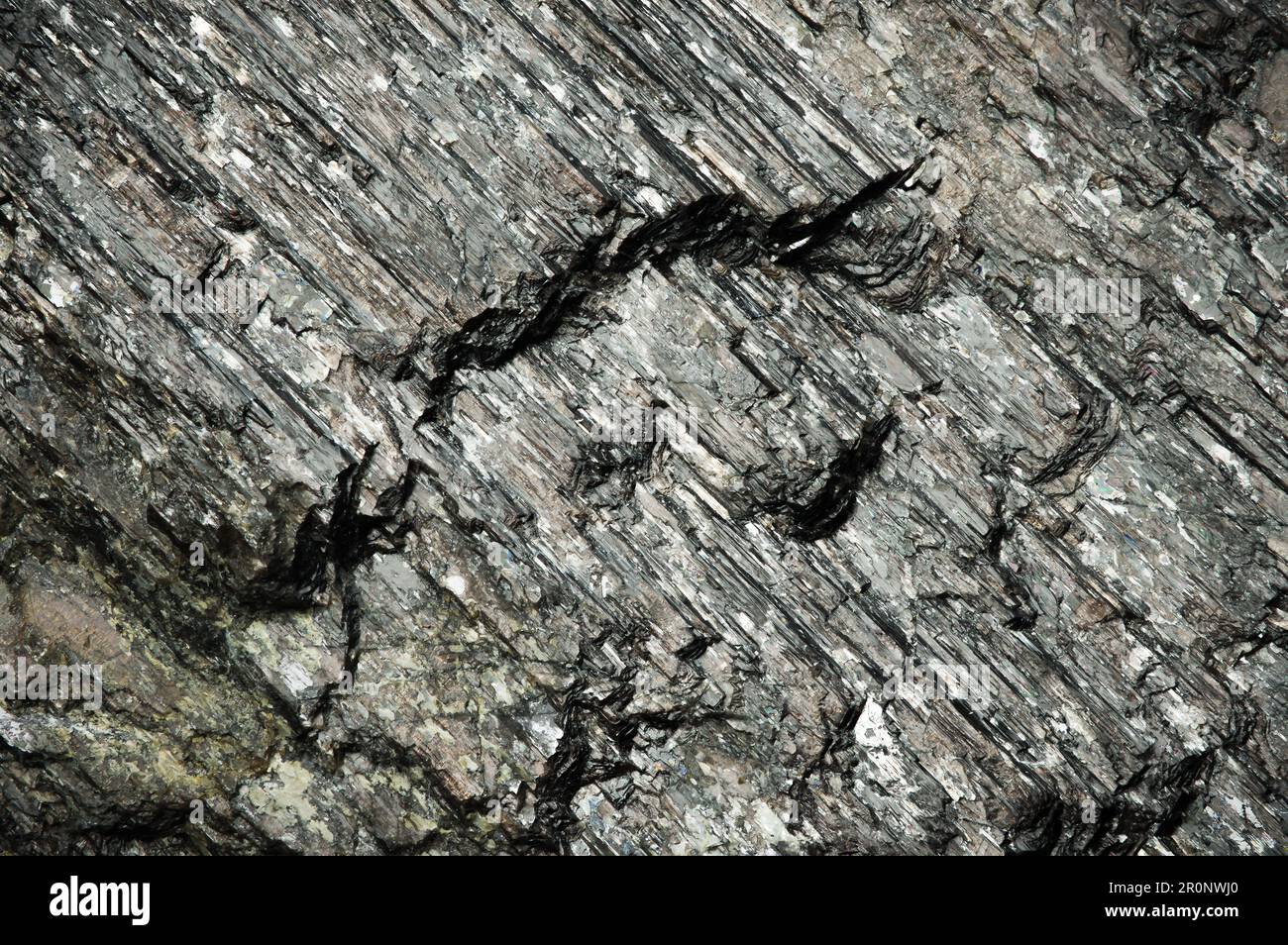 Hypersthene. macro detail texture background. close-up raw rough ...