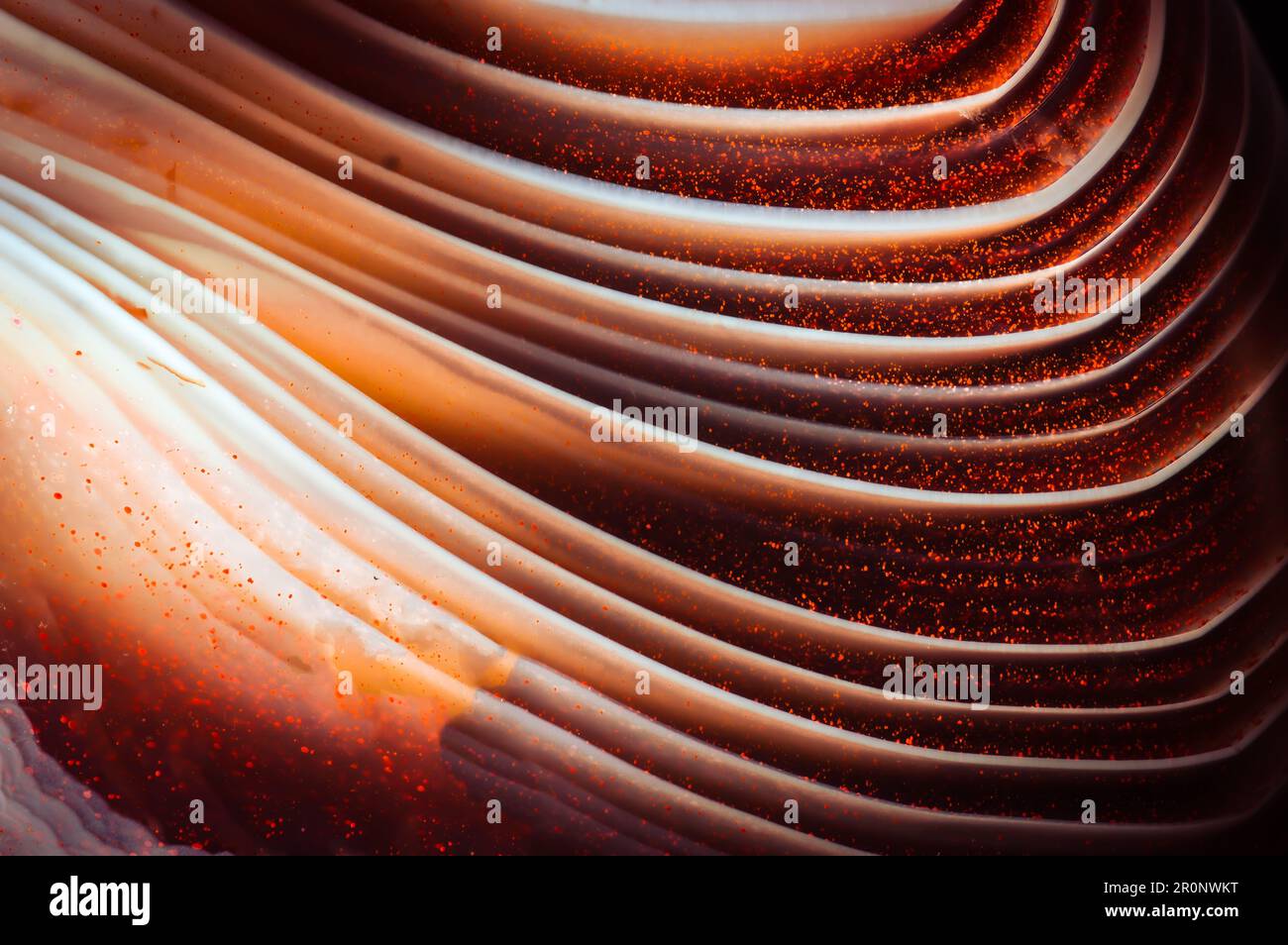 agate. macro detail texture background. close-up raw rough unpolished ...