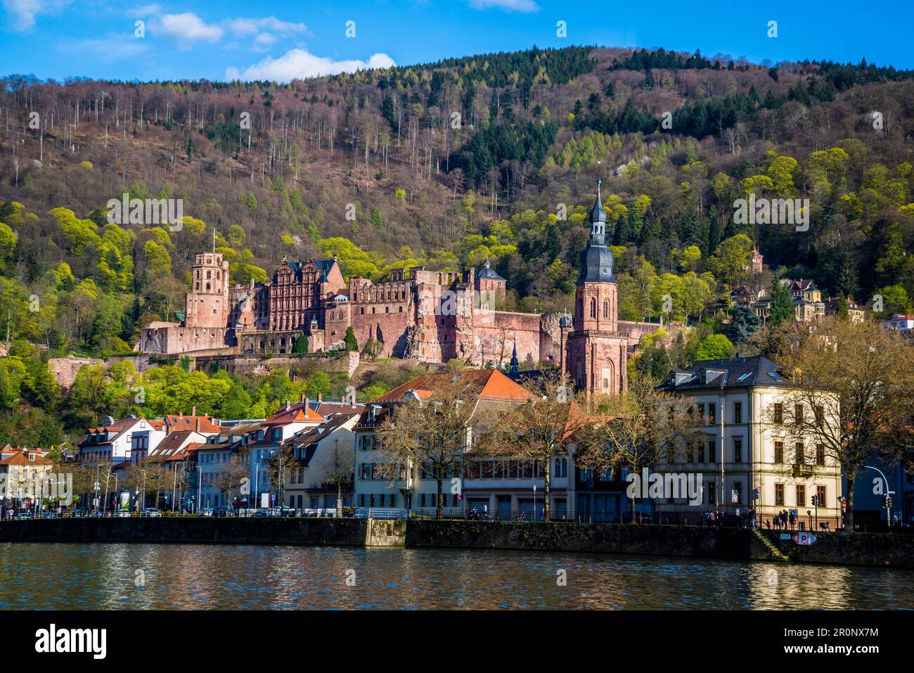 Heidelberg Castle on the hill and the river Neckar, Heidelberg, Germany ...