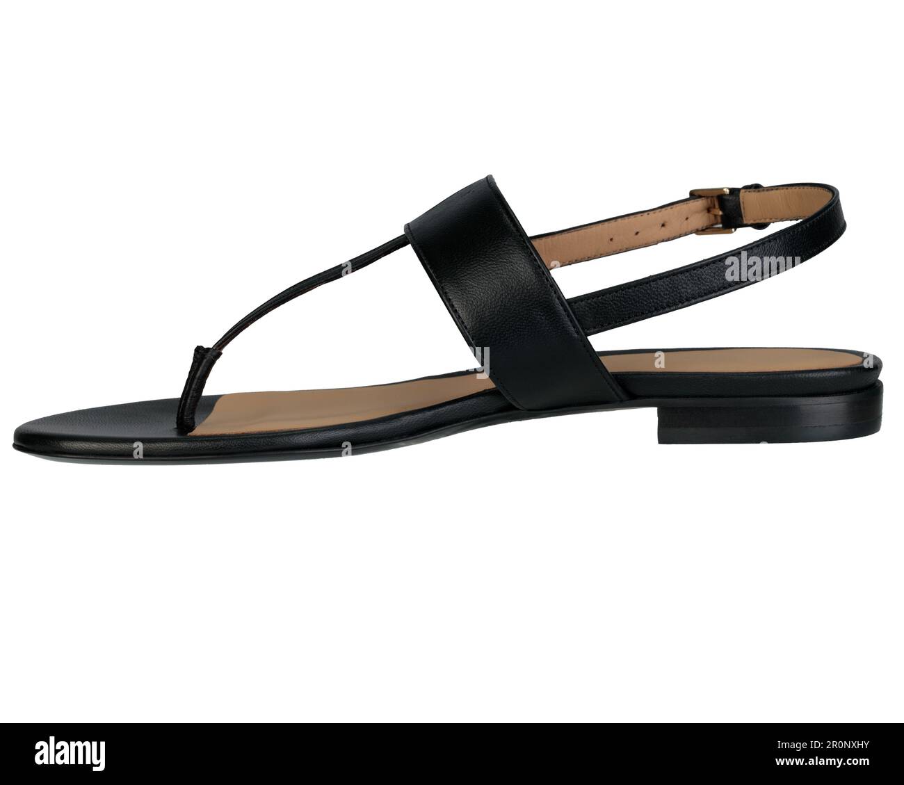 Classic black women's sandals on flat sole, isolated background. Back ...