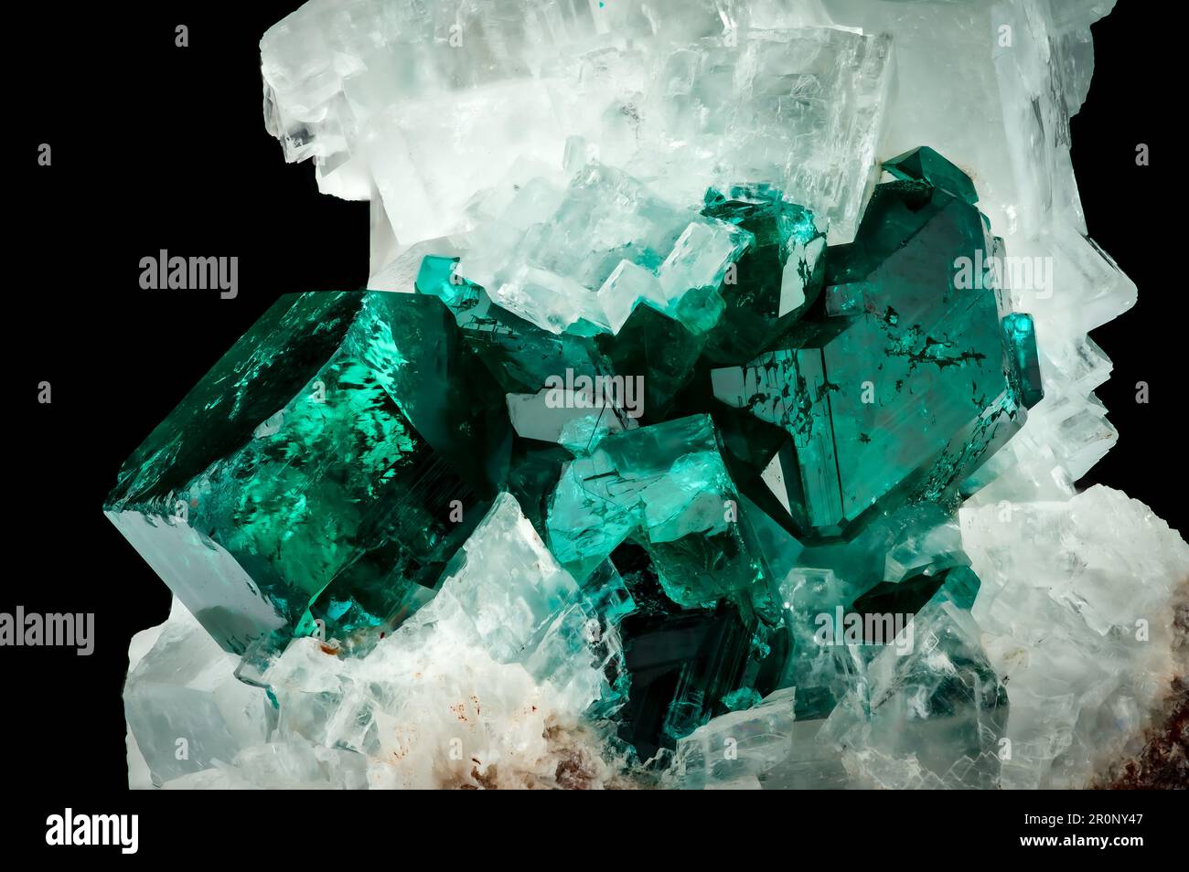 Dioptase crystal on white calcite on black bakcground. macro detail ...