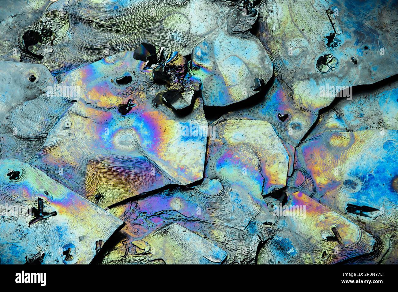 colorful hematite iron rose. macro detail texture background. close-up ...