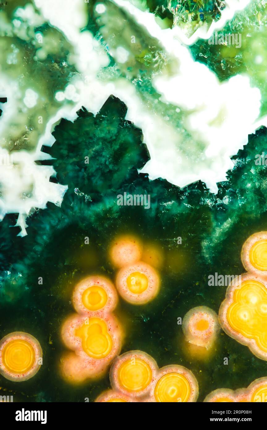 Orbicular jasper mineral stone hi-res stock photography and images - Alamy